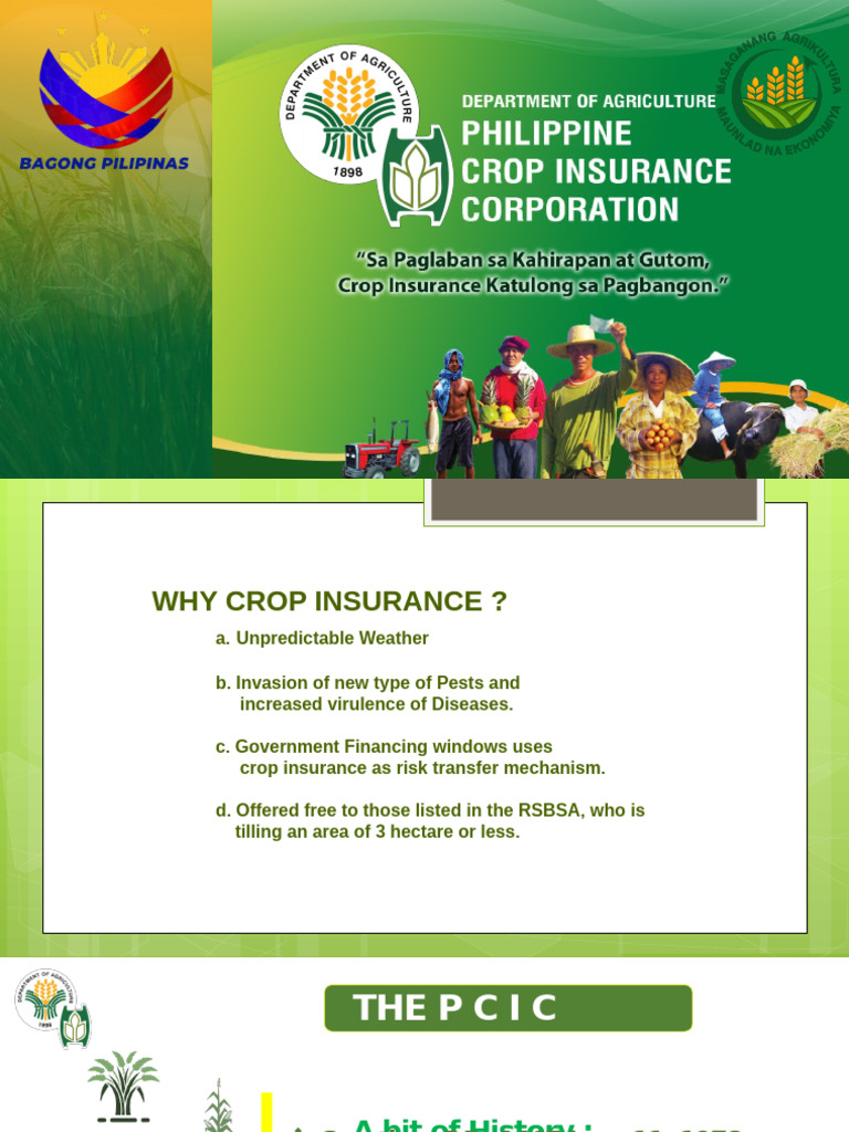 PCIC Products, Programs and Guidelines - RAFIS July 2, 2024 | PDF ...