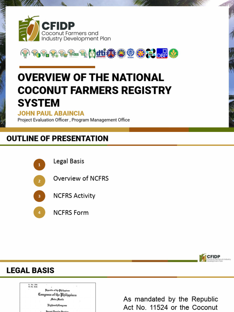 Overview of NCFRS and CFIDP | PDF | Government