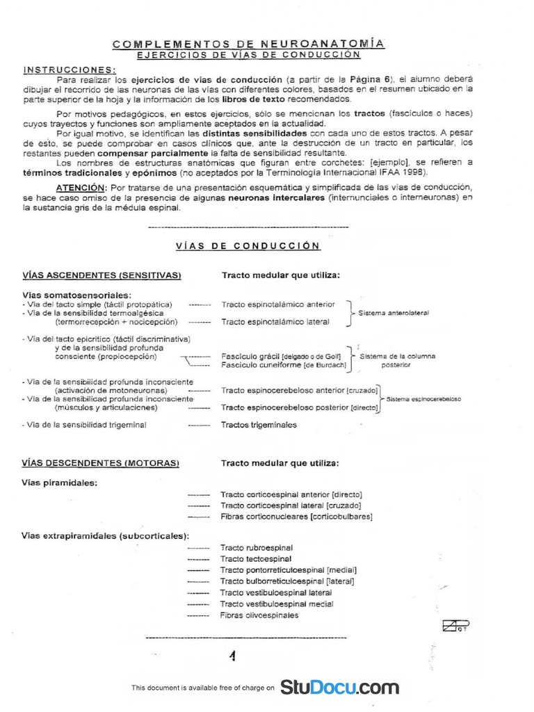 Apunte Pro-Forlizzi NEURO - 250214 - 023351 | PDF