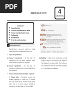 Reproduction in Plants - Revision Questions | PDF | Flowers | Reproduction