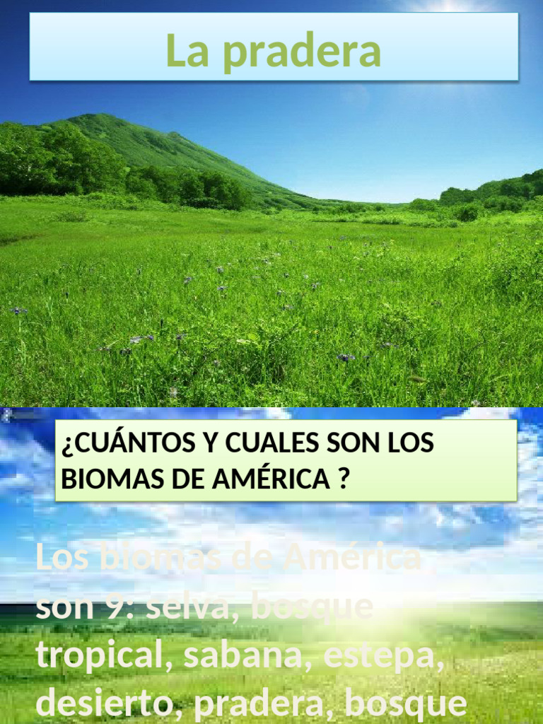La Pradera | PDF | Agricultura | Biogeografia