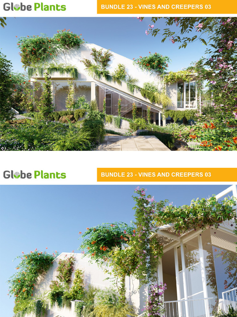 Bundle23 - Vines and Creepers 03 | PDF
