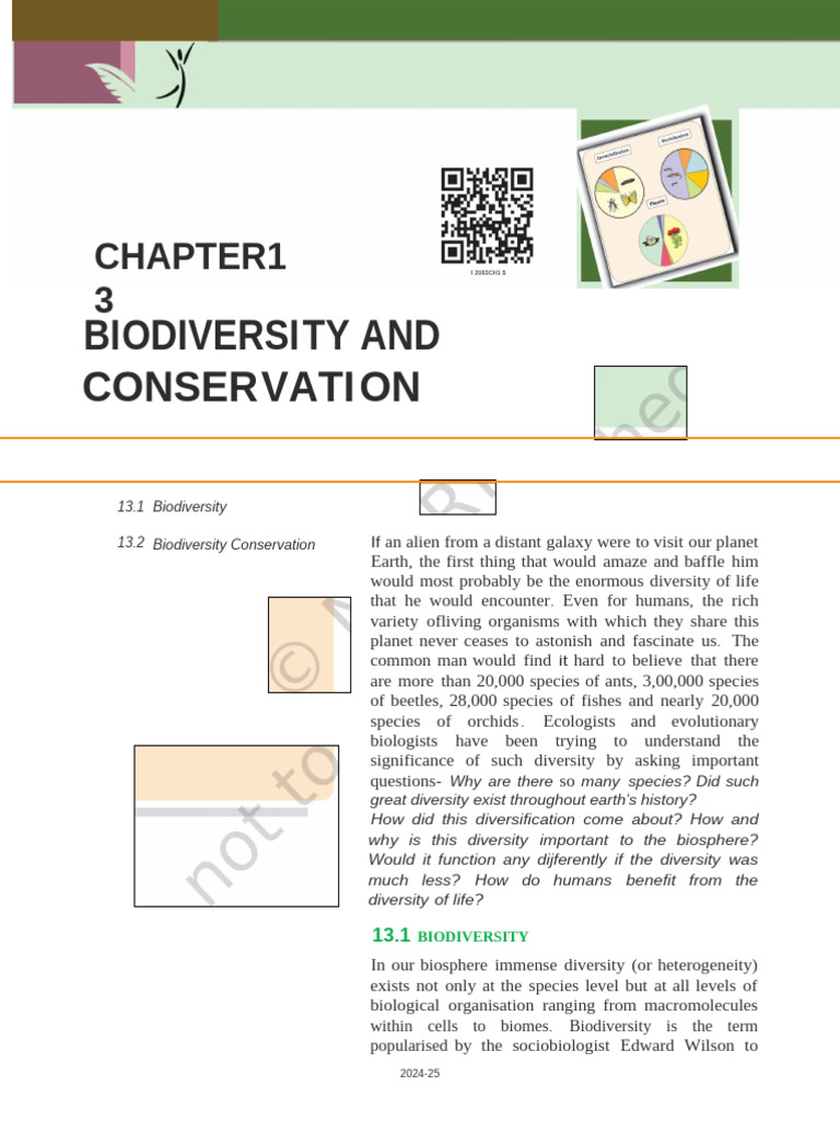 Biodiversity and Biodiversity Is An Essential Component To Nourishing ...