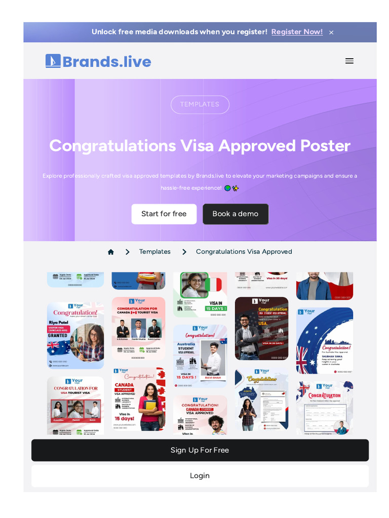 Free Visa Approved Templates Download | PDF