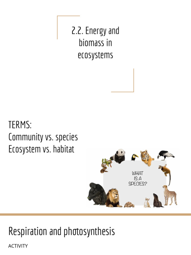 2.2. Communities and Ecosystems Kopija | PDF