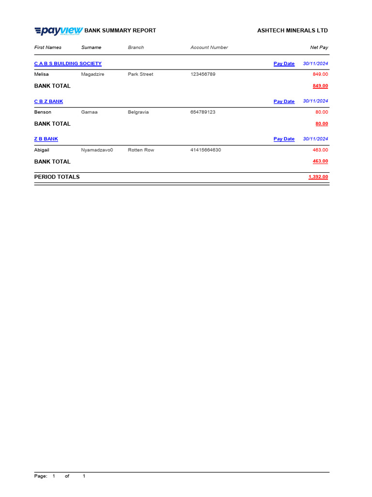 Bank Summary Report Final | PDF