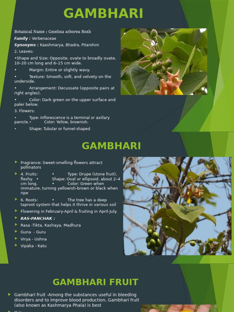 Gambhari Vaibhav Sharma | PDF