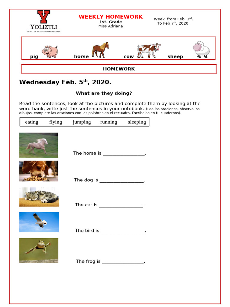 HWP 1 A 3 Feb 2020 | PDF