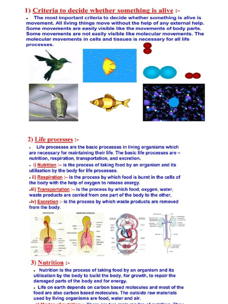 Life Processes | PDF