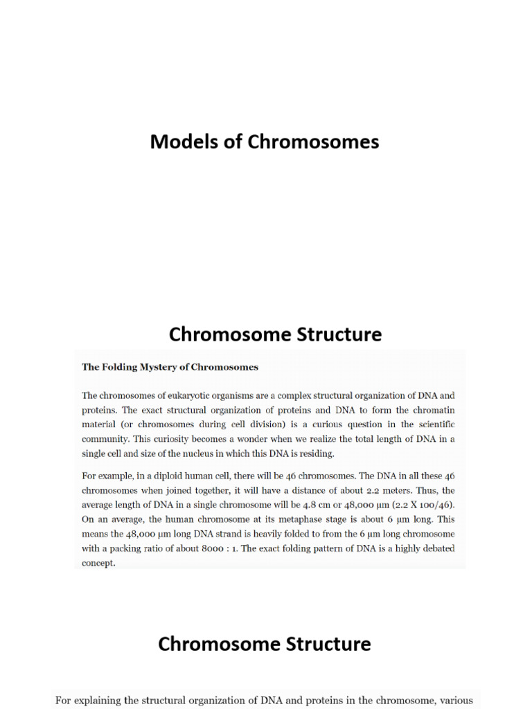 Chromosome Models | PDF | Dna | Chromosome