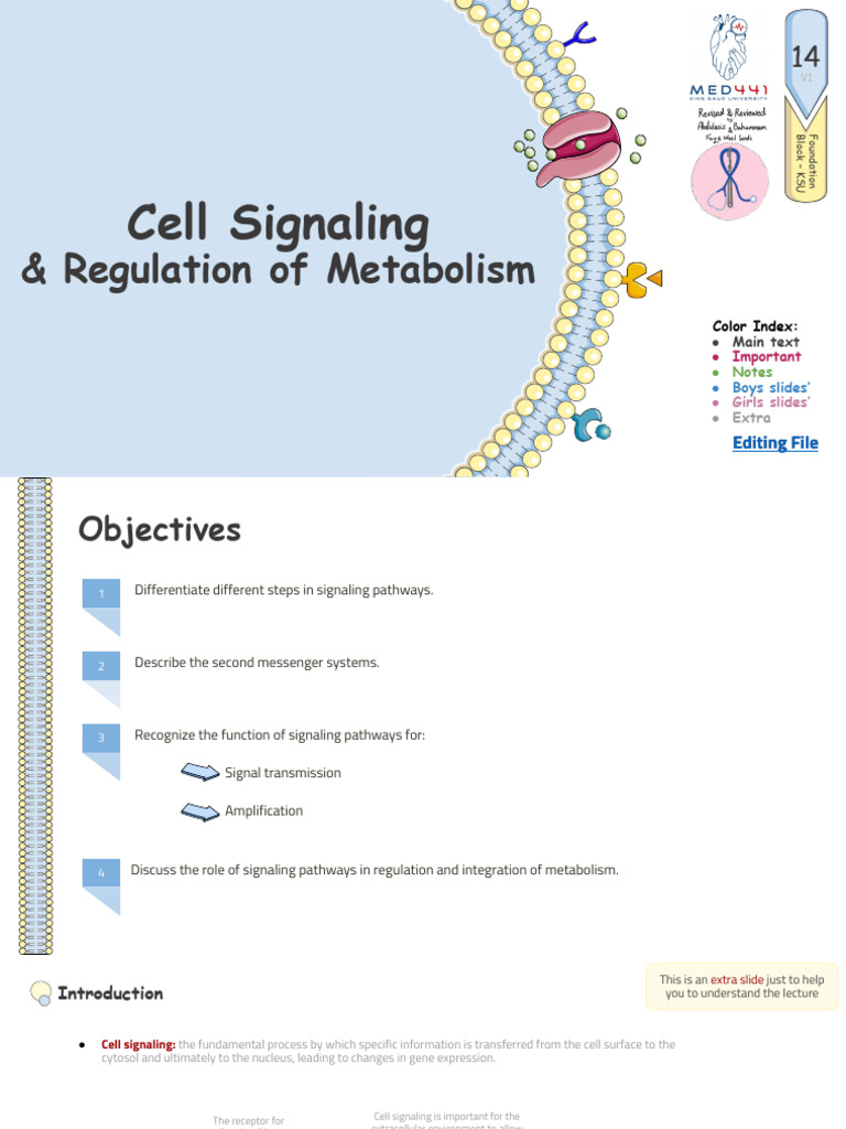14 - Cell Signaling & Regulation of Metabolism Team441 | PDF | Cell ...