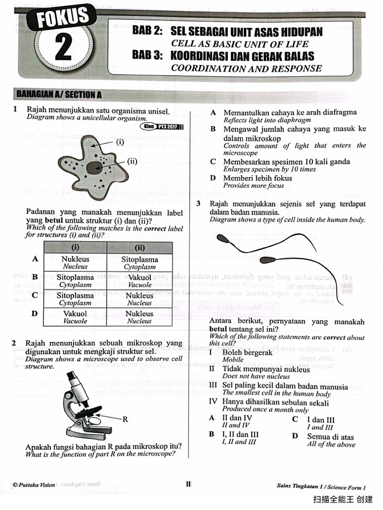 198 Quick Revision | PDF