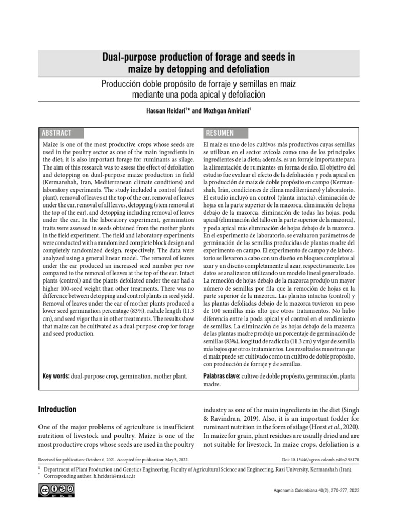 Dual-Purpose Production of Forage and Seeds in Mai | PDF | Maize | Seed