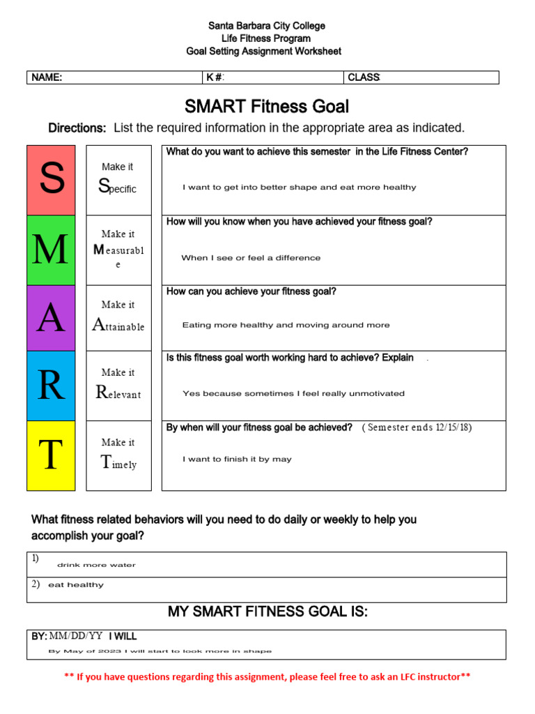 Lfp Smart Goal Ws | PDF