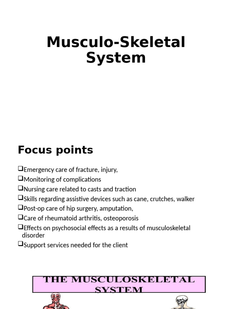 nclex musculoskeletal(5) | PDF | Bone | Anatomical Terms Of Motion