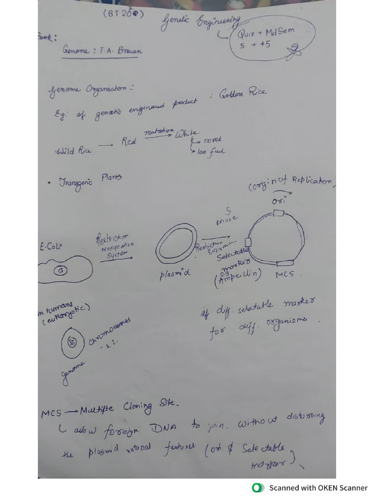 Genetic Engineering 207 | PDF