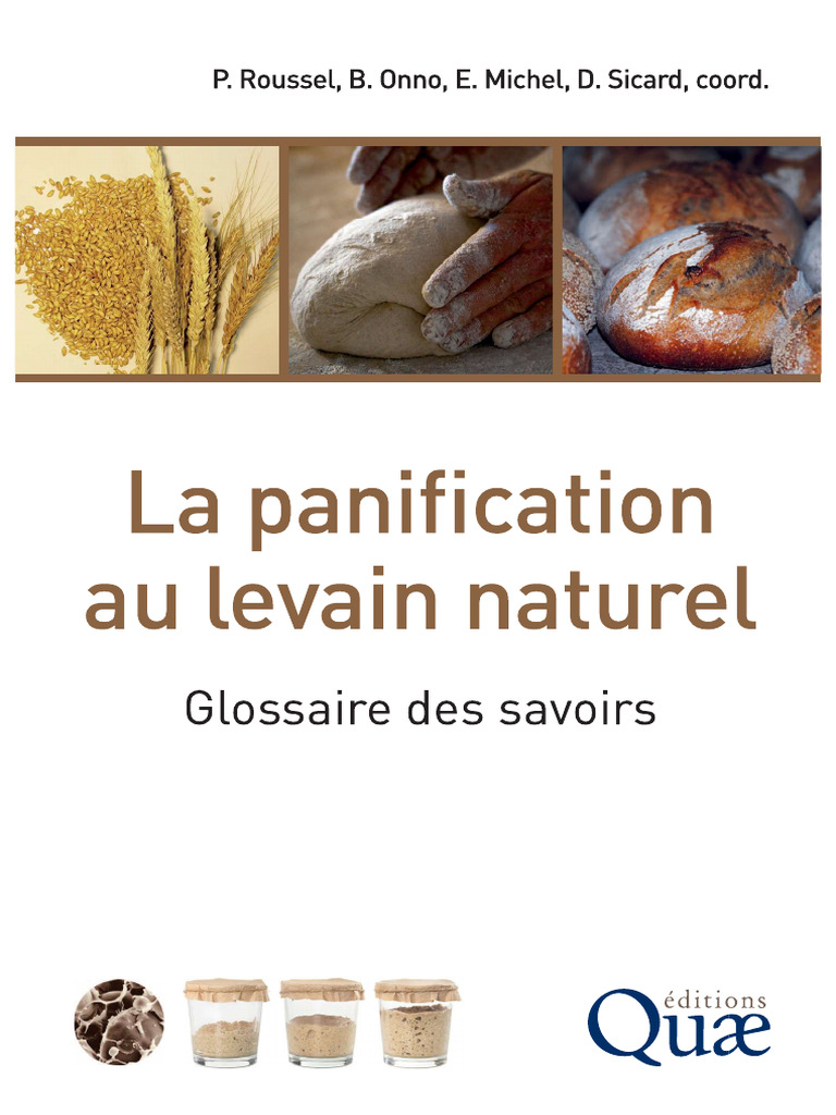 La Panification Au Levain Naturel | PDF