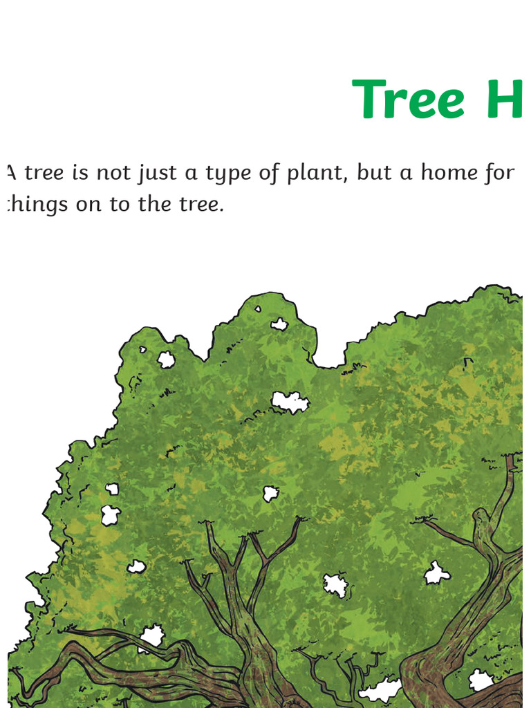 US T 497 Tree Habitat Activity Sheet - Ver - 2 | PDF