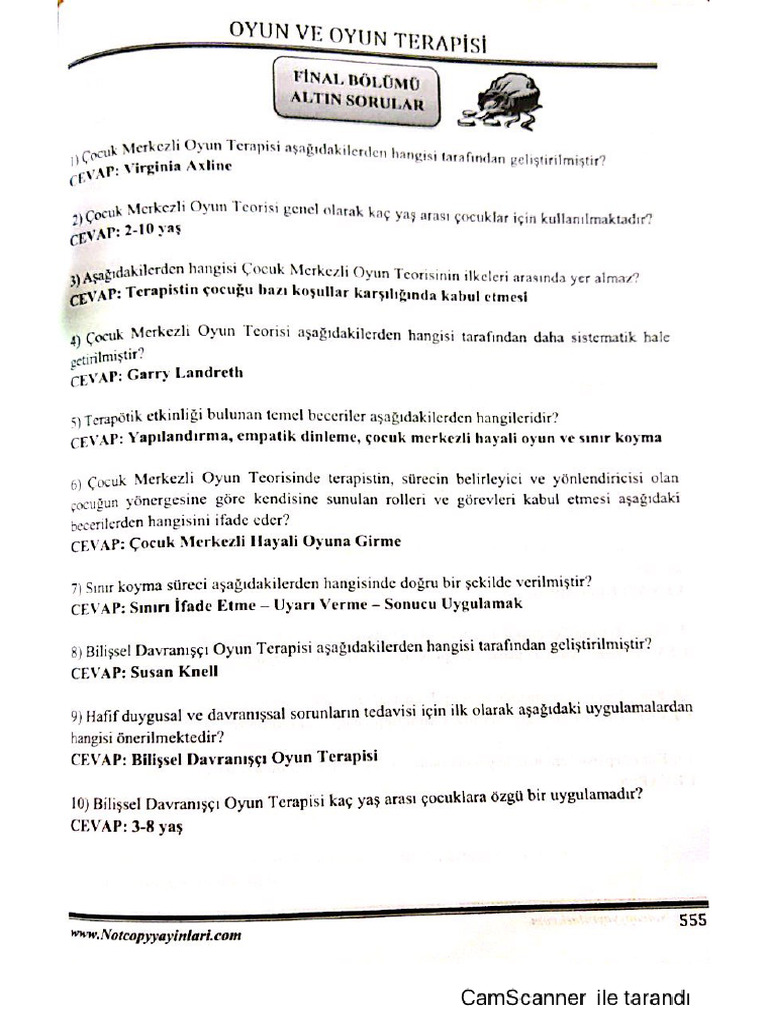 Oyun Terapisi Final Altın Sorular | PDF