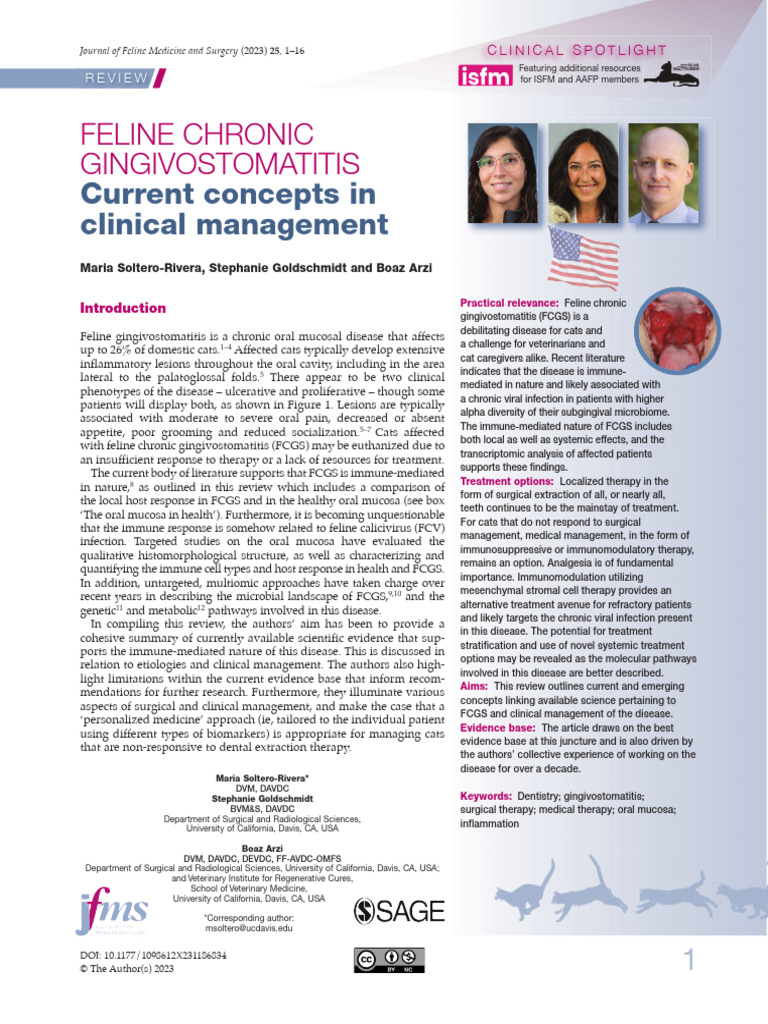 Feline Chronic Gingivostomatitis | PDF | Lymphocyte | T Cell