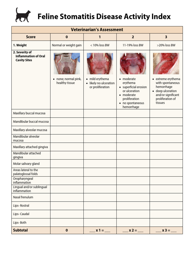 Feline Stomatitis Activity Index Guide | PDF | Medical Specialties ...