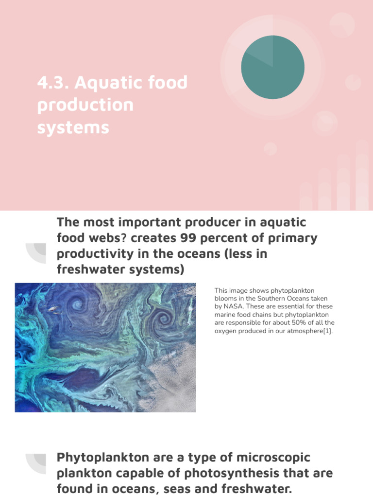 Phytoplankton's Role in Aquatic Food Systems | PDF