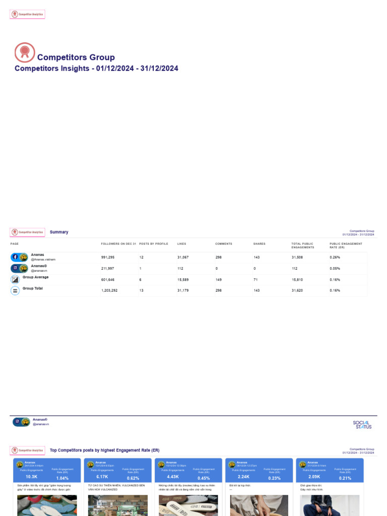 Competitors Group Report 2 | PDF