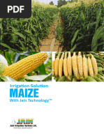 Crop Growth Chart - Maize: Stage VE V2 V5 V8 V12 V16 R1 R5 | PDF