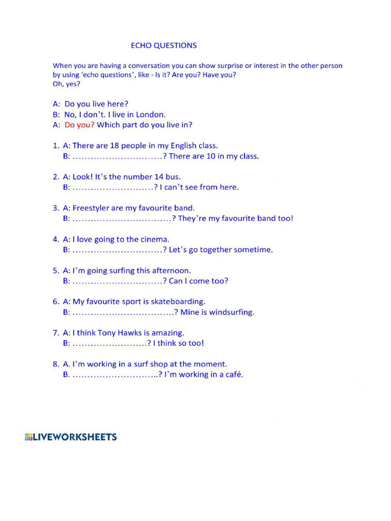 Echo Questions PDF | PDF