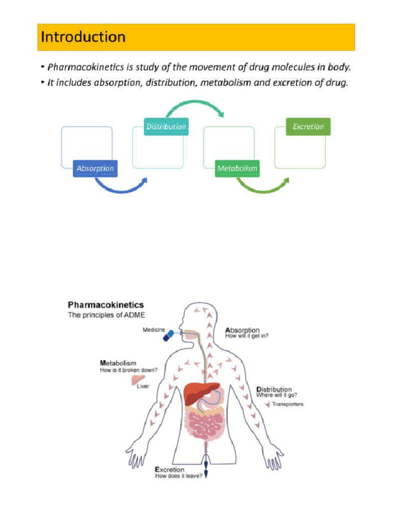 Pharmacokinetics | PDF