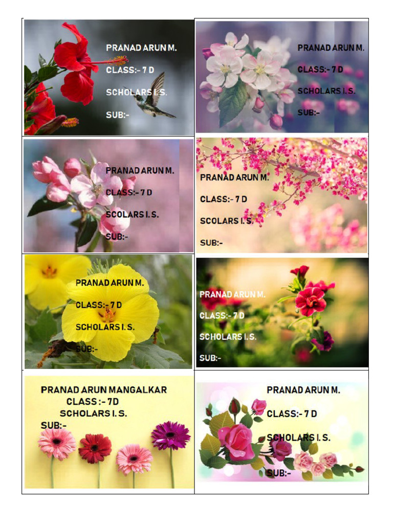 mau chi worksheet | PDF