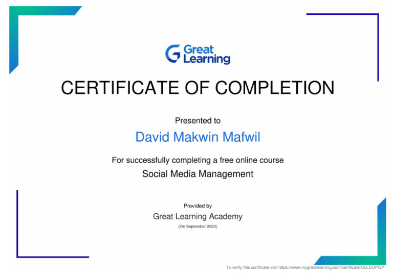 SMM Certificate | PDF