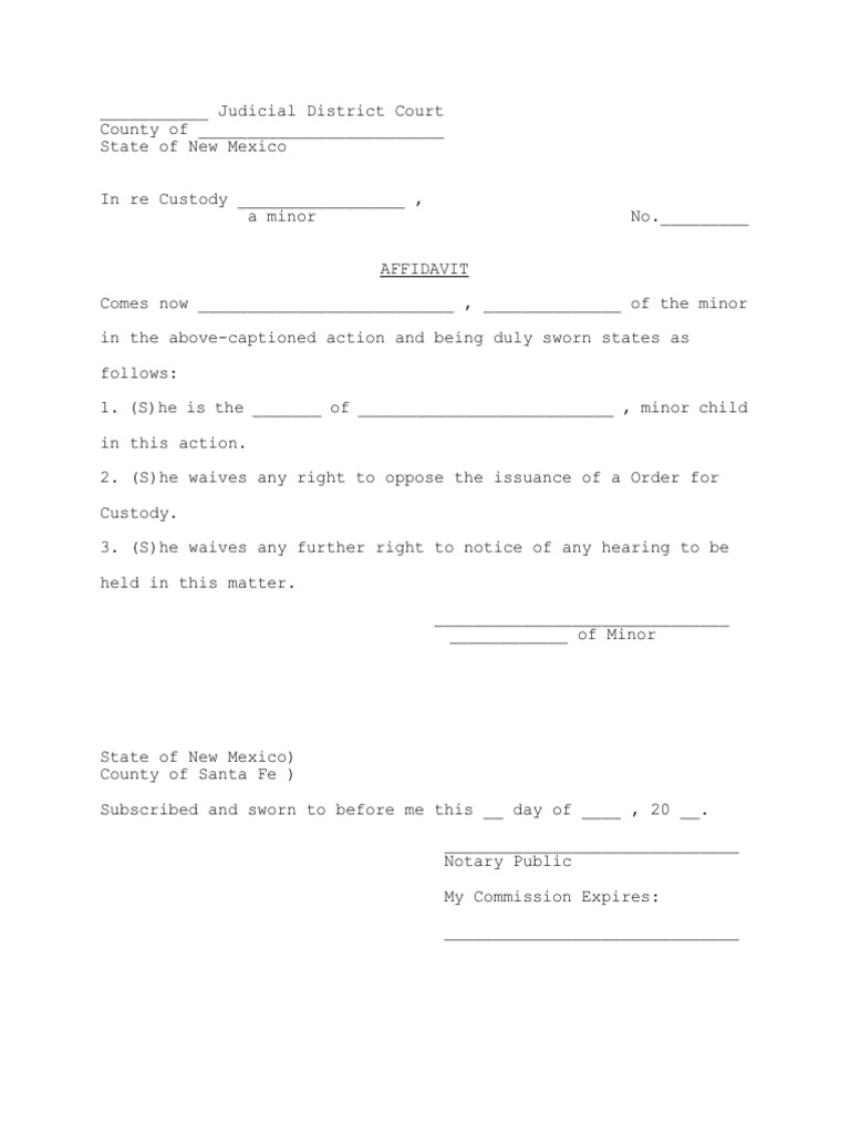 Affidavit To Waive Child Custody | PDF