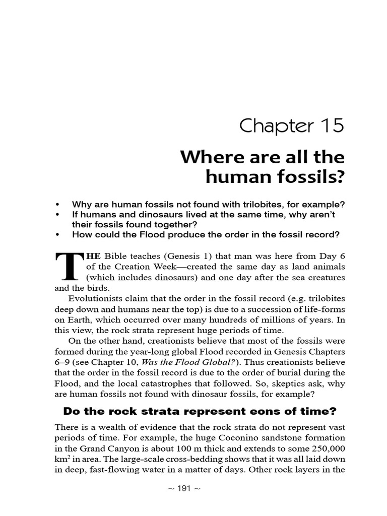 Human Fossils and the Flood Theory | PDF | Fossil | Genesis Flood Narrative