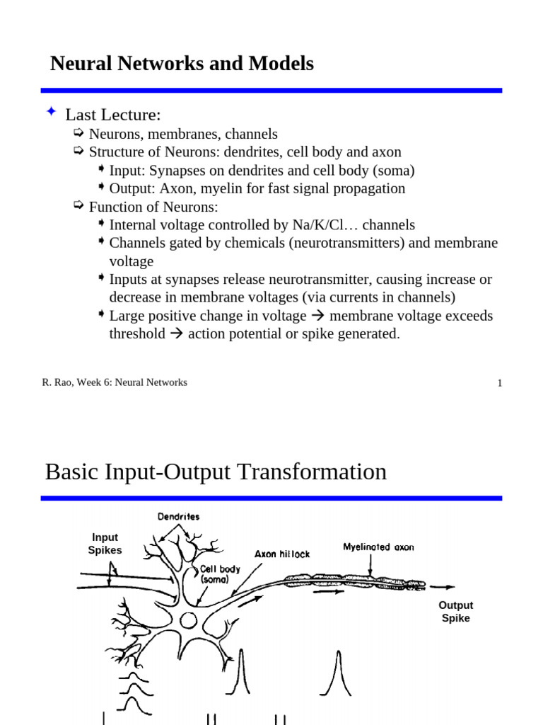 Neural Network Models | PDF | Neuron | Synapse