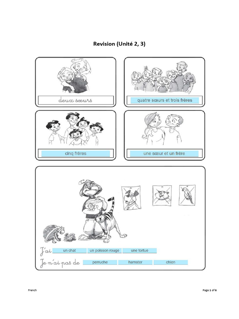 French Language Revision Guide | PDF