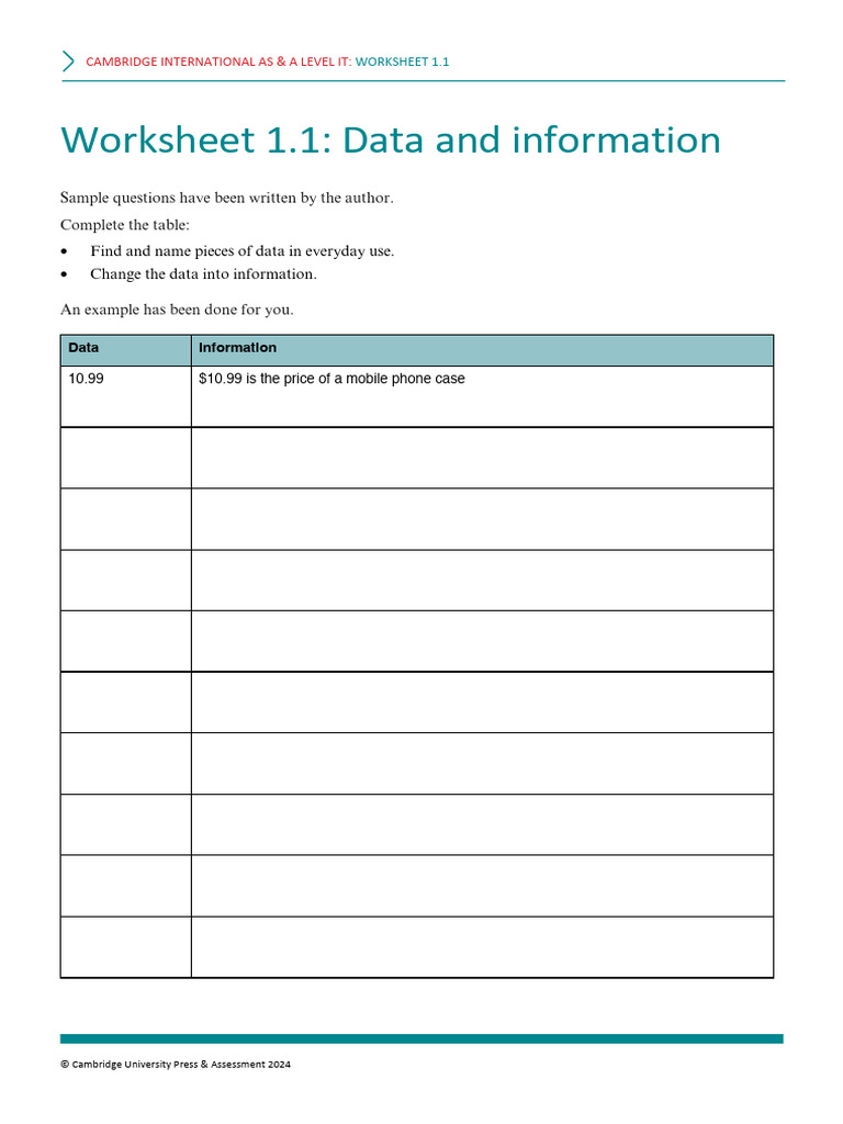 Worksheet 1.1 Data and Information | PDF