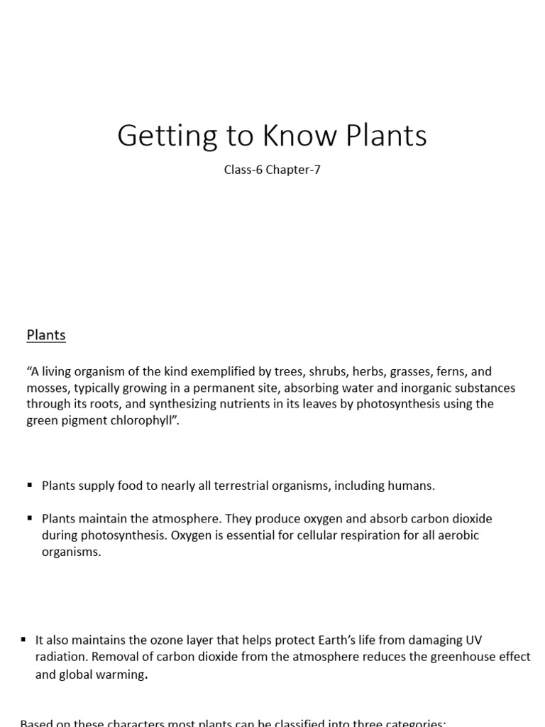 getting to know plants ch 7 | PDF | Leaf | Plant Stem