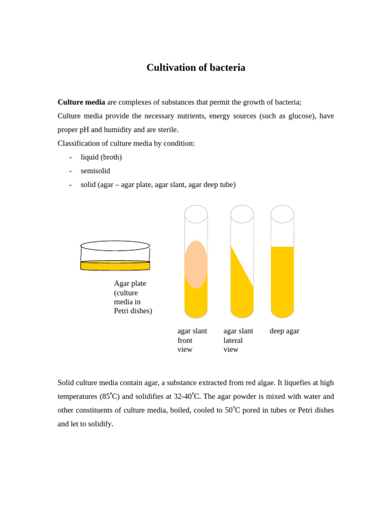 Bacterial Culture Media Types and Uses | PDF | Growth Medium | Agar