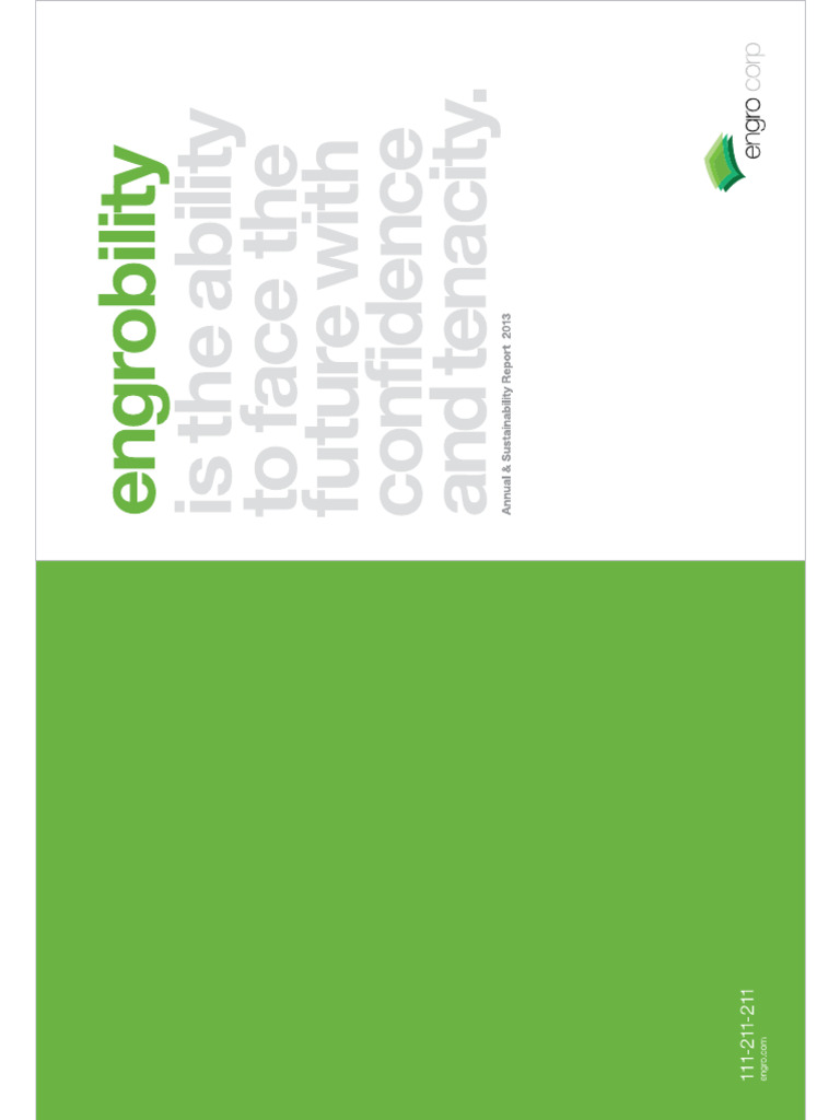 ECorp AR-Organizational Overview-4 | PDF