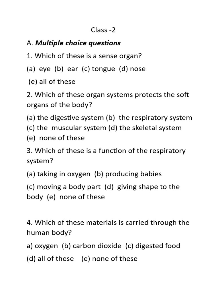 Class 2 test paper | PDF