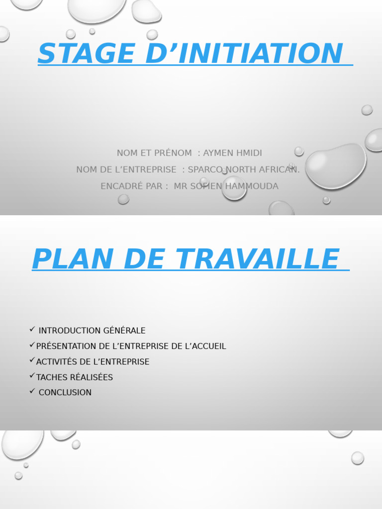 Rapport de Stage D'initiation | PDF