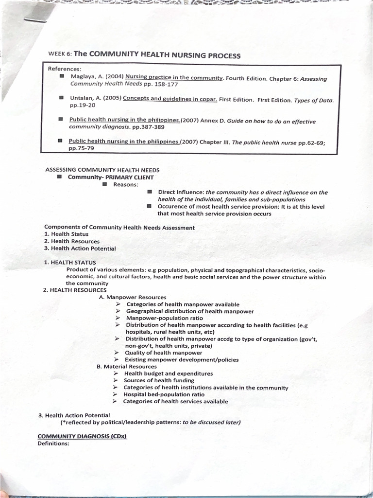 Week 6 The Community Health Nursing Process | PDF