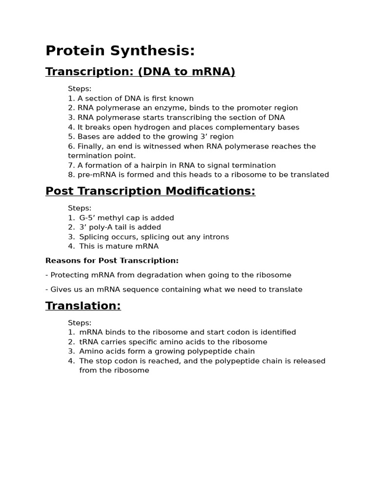 Protein Synthesis: Transcription to Translation | PDF