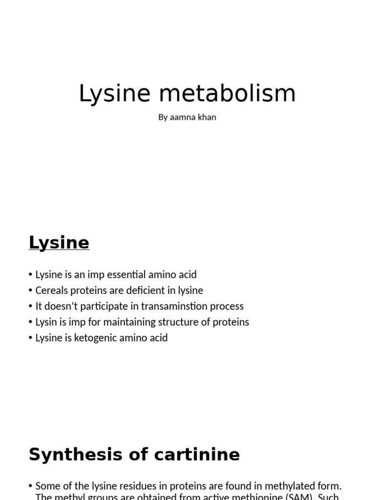 Lysine Metabolism and Carnitine Synthesis | PDF