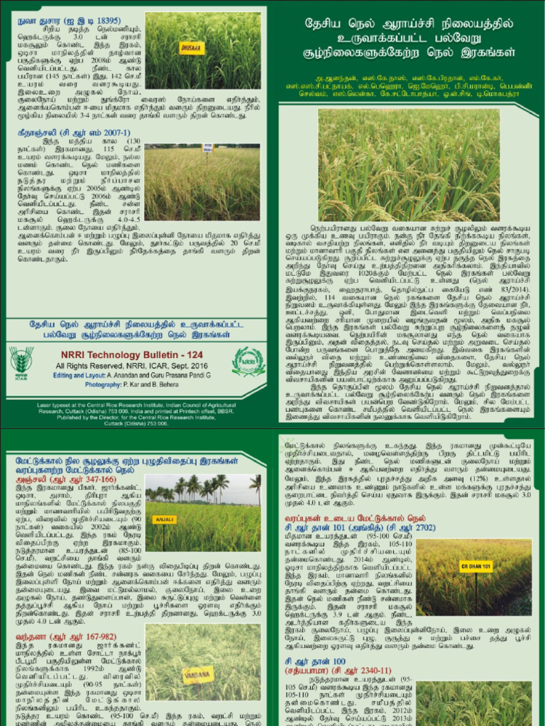NRRI Rice Varieties For Diverse Ecologies - Tamil 2 | PDF