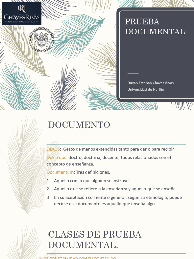 Prueba Documental | PDF