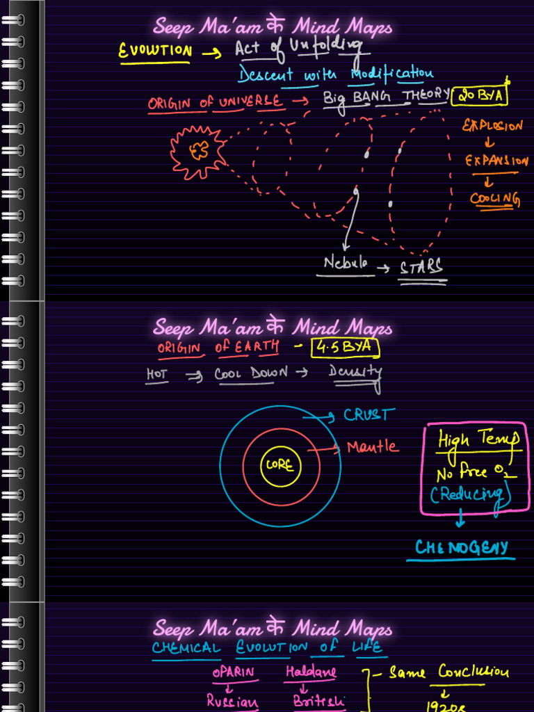 Mind Maps of Human Evolution | PDF | Fossil | Biology