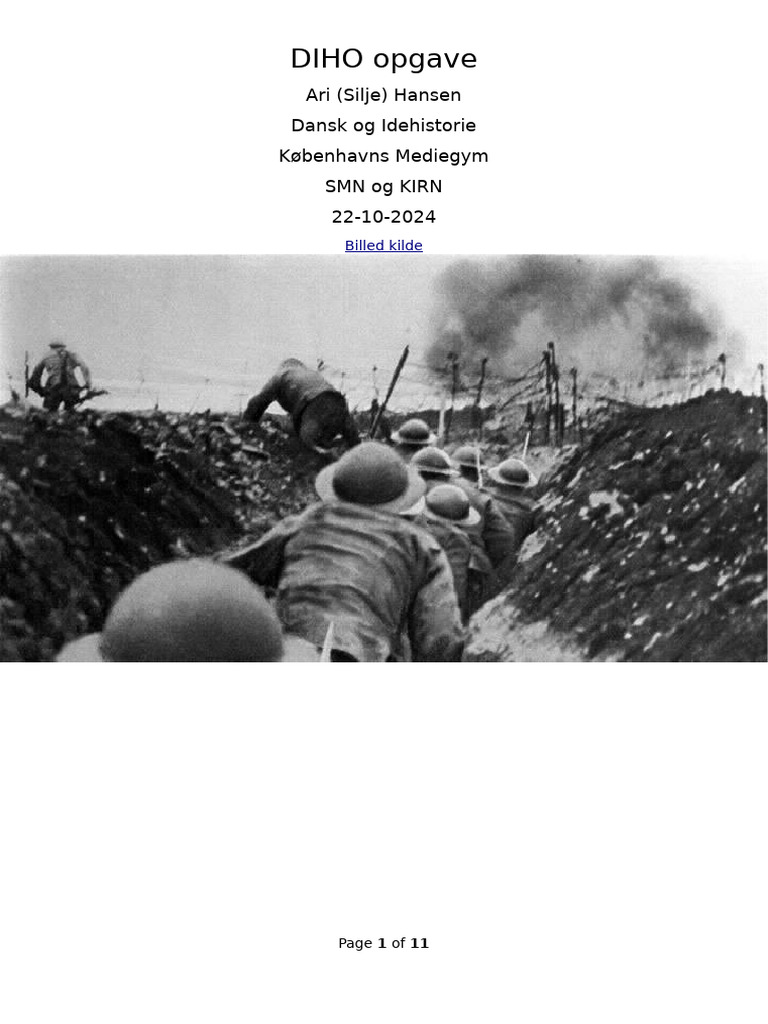 DIHO Opgave | PDF