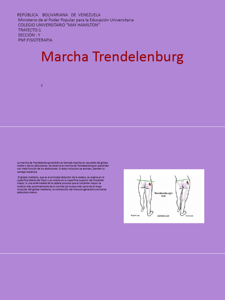 Marcha Trendelenburg: Análisis y Alteraciones | PDF | Pelvis | Sistema ...